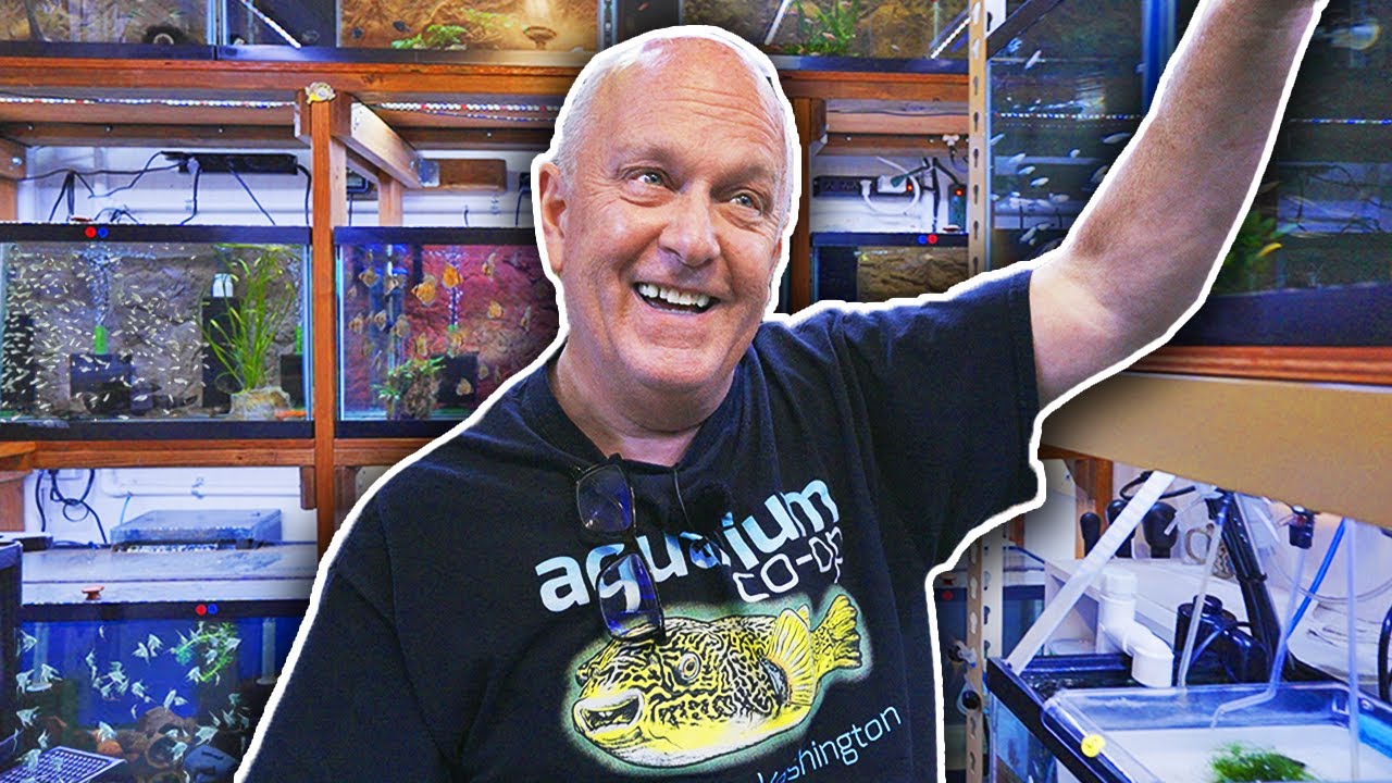 This Fish Room (Almost) Runs Itself!