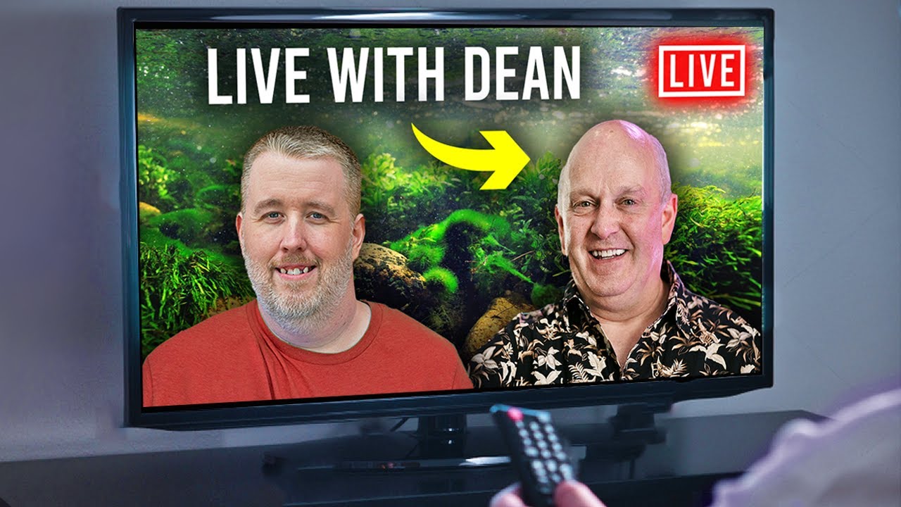 Live Stream #253 With Deans Fish Room.