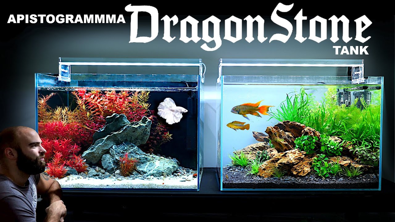 Opposite DRAGONSTONE Aquarium: AMAZING Aquascape Tutorial W ...