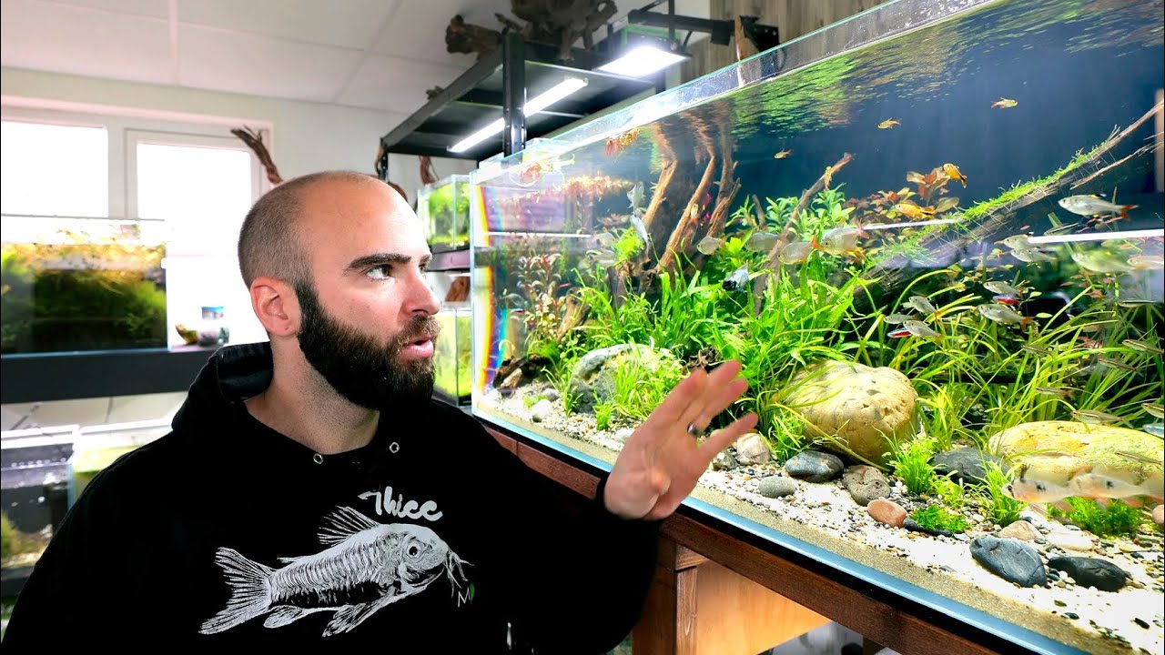 EXTREME Update With BIG SURPRISES In 4FT TANKS (change Needed Again!)