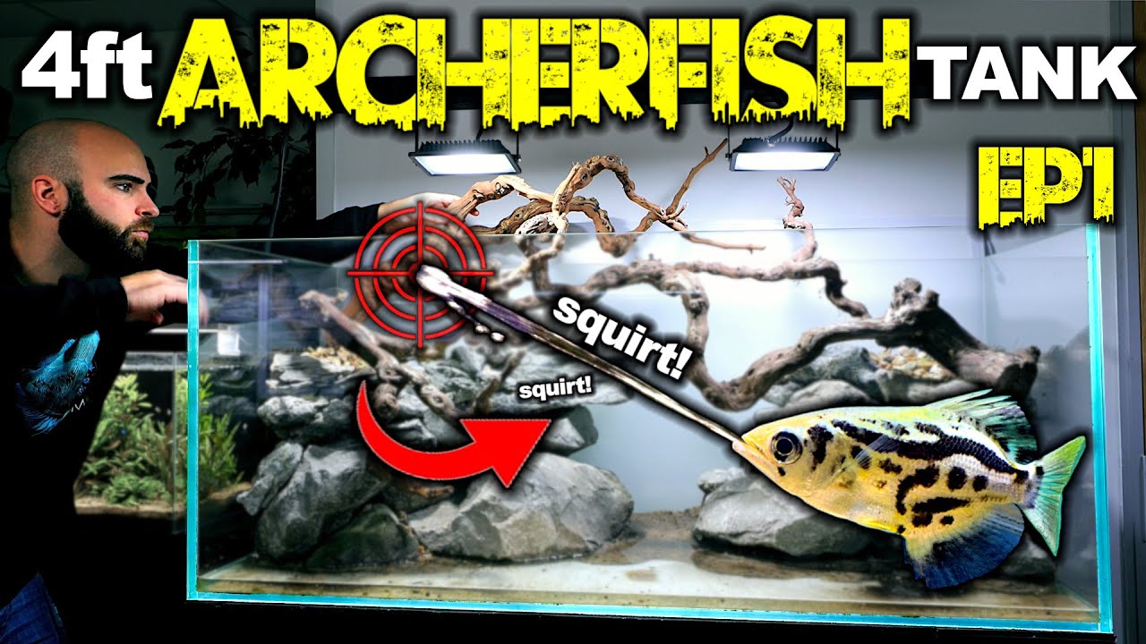 Building An EPIC 4ft ARCHERFISH Paludarium / Aquaterrarium (EP1)